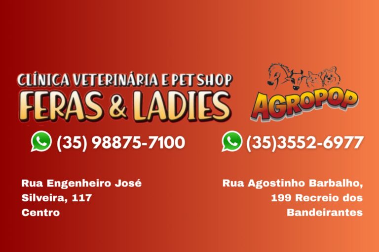 Magaiver - Magaiver TV - On Line